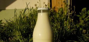 Warum wird Milch sauer? | BioLiebert
